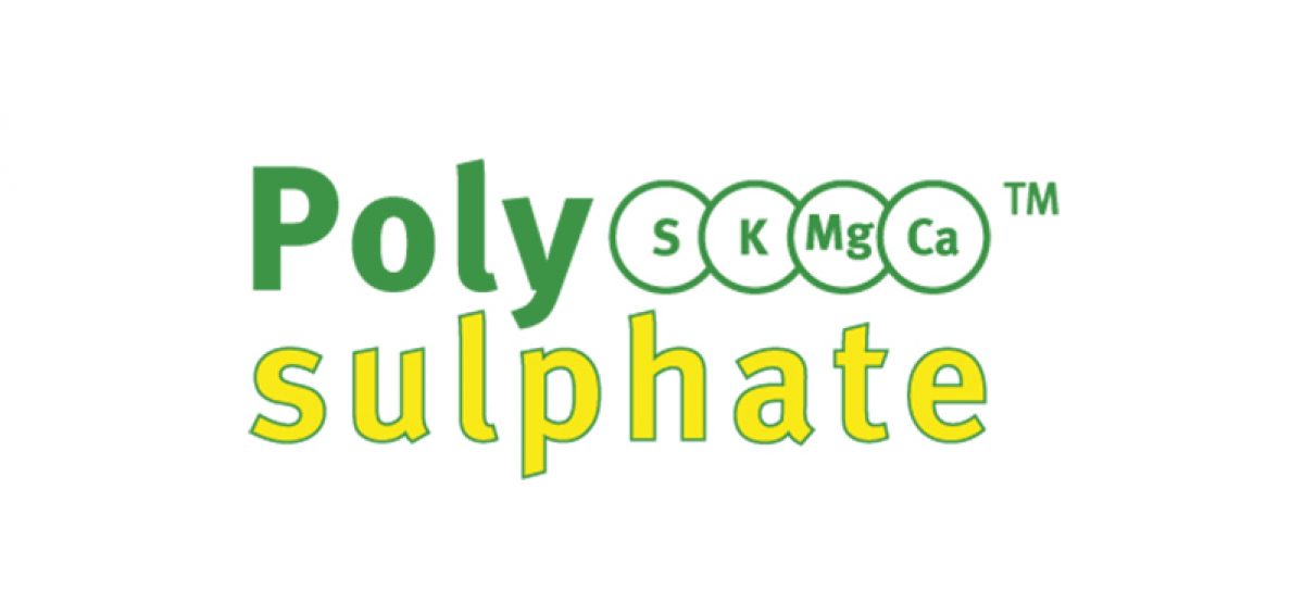 Polysulphate - PlantCoaching
