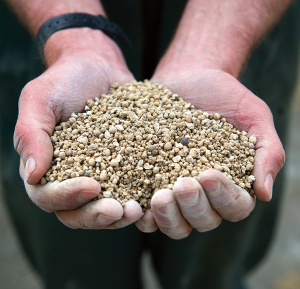 Calcifert - PlantCoaching